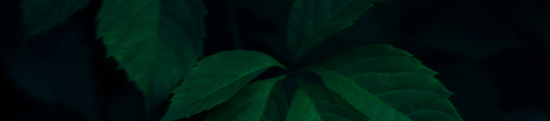 Notre engagement - AVL Benoist